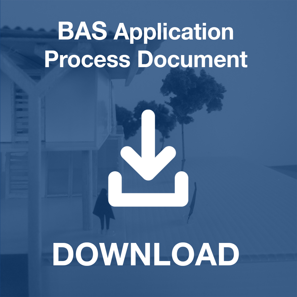 BAS application exercise - Wits University