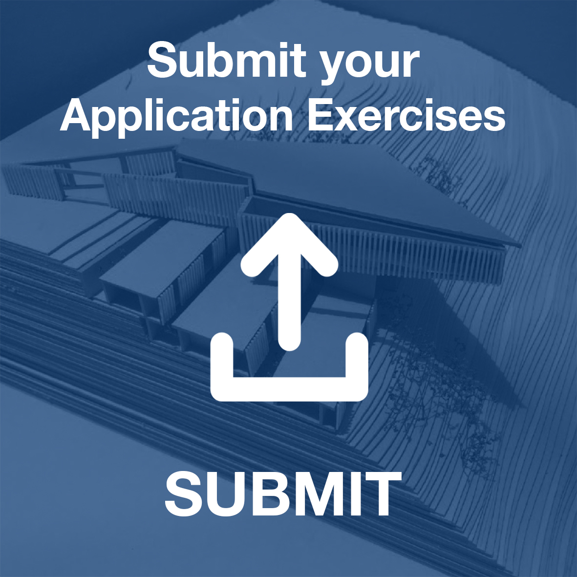 BAS application exercise - Wits University