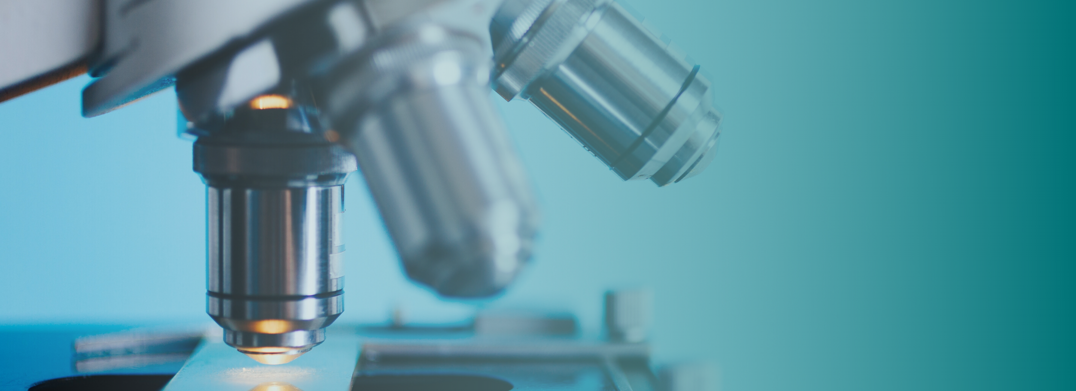 Clinical Microbiology & Infectious Diseases - Wits University