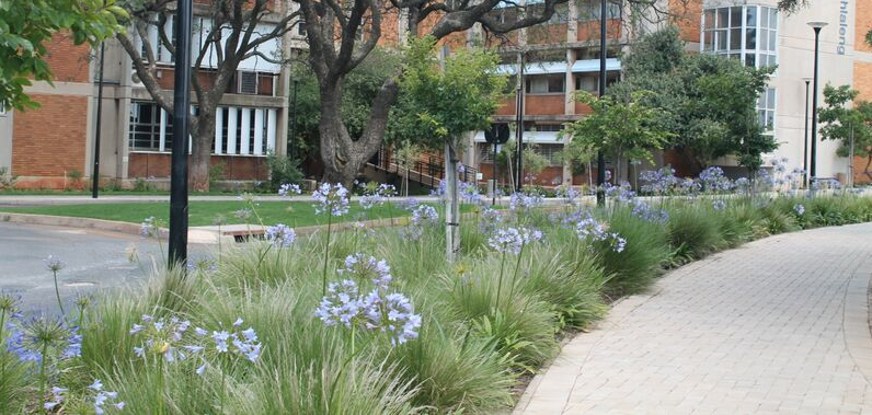 History - Wits University