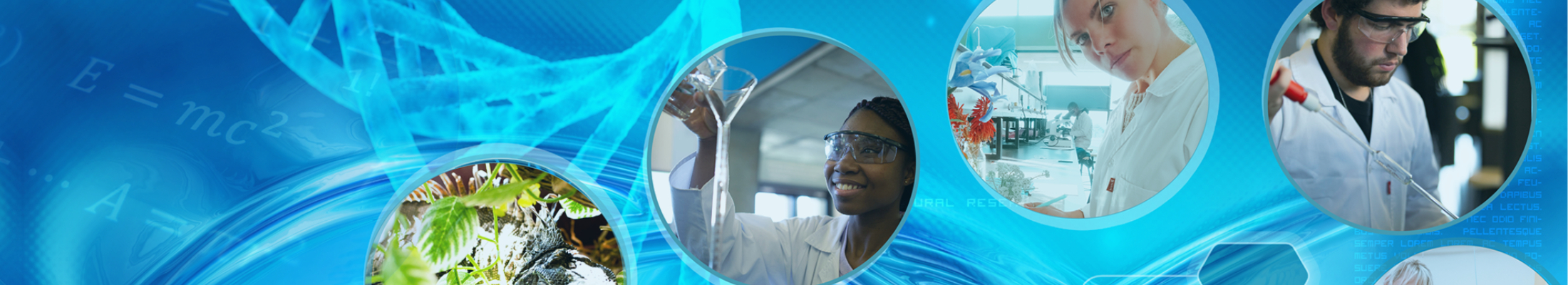 Undergraduate programmes - Wits University