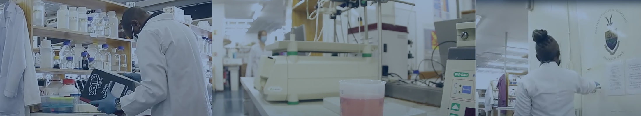Urc Protein Structure Function Research Unit Wits University