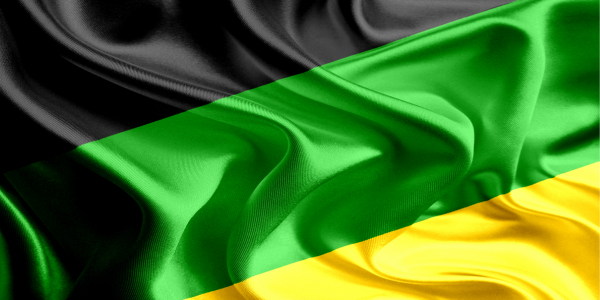 2024-05 - South African elections: research explores how disillusioned ...